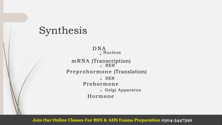 PHYSIO LECTURE 3 part a.pptx endocrine system | PPTX