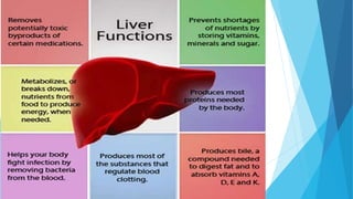 Physiology(liver and Pancreas) | PPTX