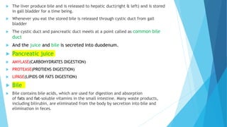 Physiology(liver and Pancreas) | PPTX