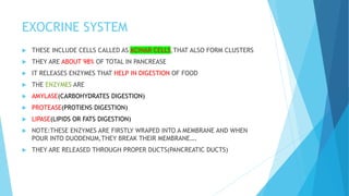 Physiology(liver and Pancreas) | PPTX