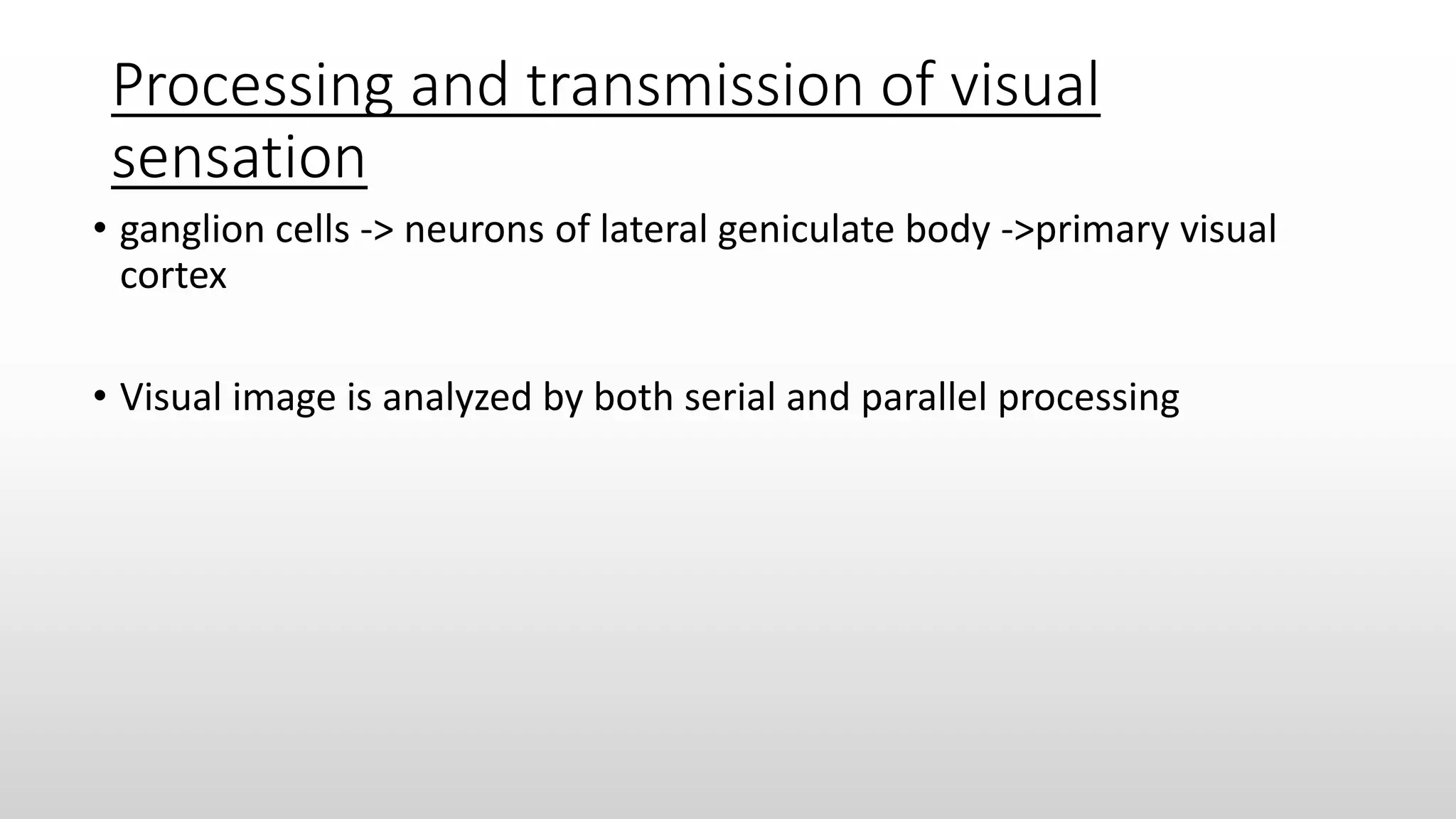 Physiology of vision | PPTX