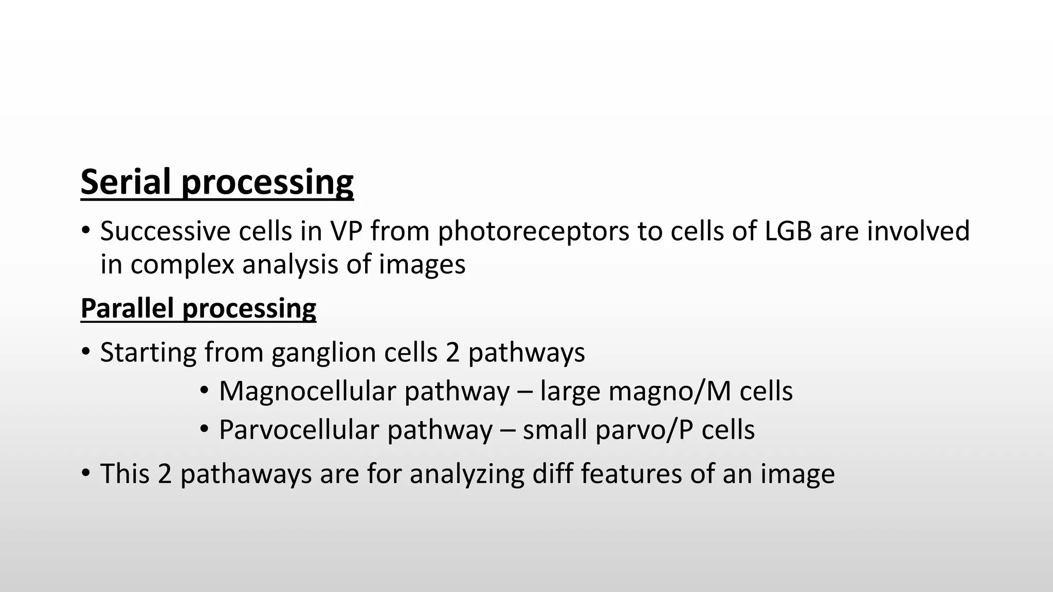 Physiology of vision | PPTX