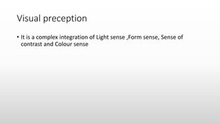 Physiology of vision | PPTX