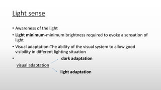 Physiology of vision | PPTX