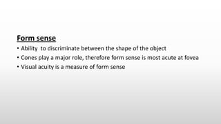 Physiology of vision | PPTX