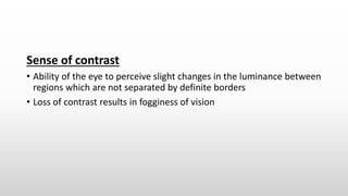 Physiology of vision | PPTX