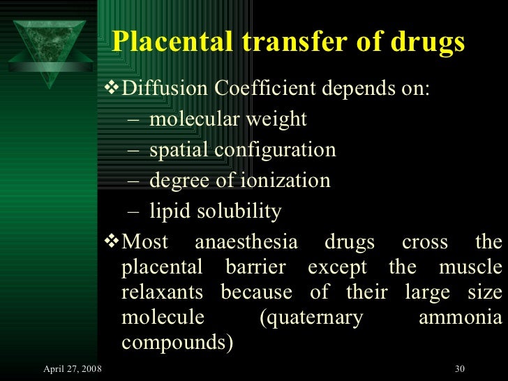 Physiological Changes In Pregnancy