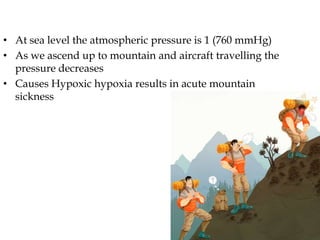 Physiological response to high altitude | PPTX