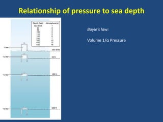 Physiological response to high barometric pressure | PPTX