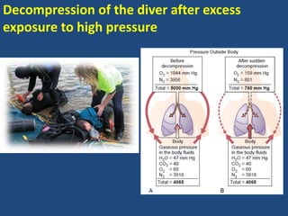 Physiological response to high barometric pressure | PPTX