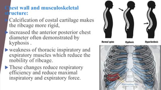 Physiological changes with aging | PPTX