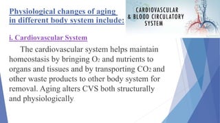 Physiological changes with aging | PPTX