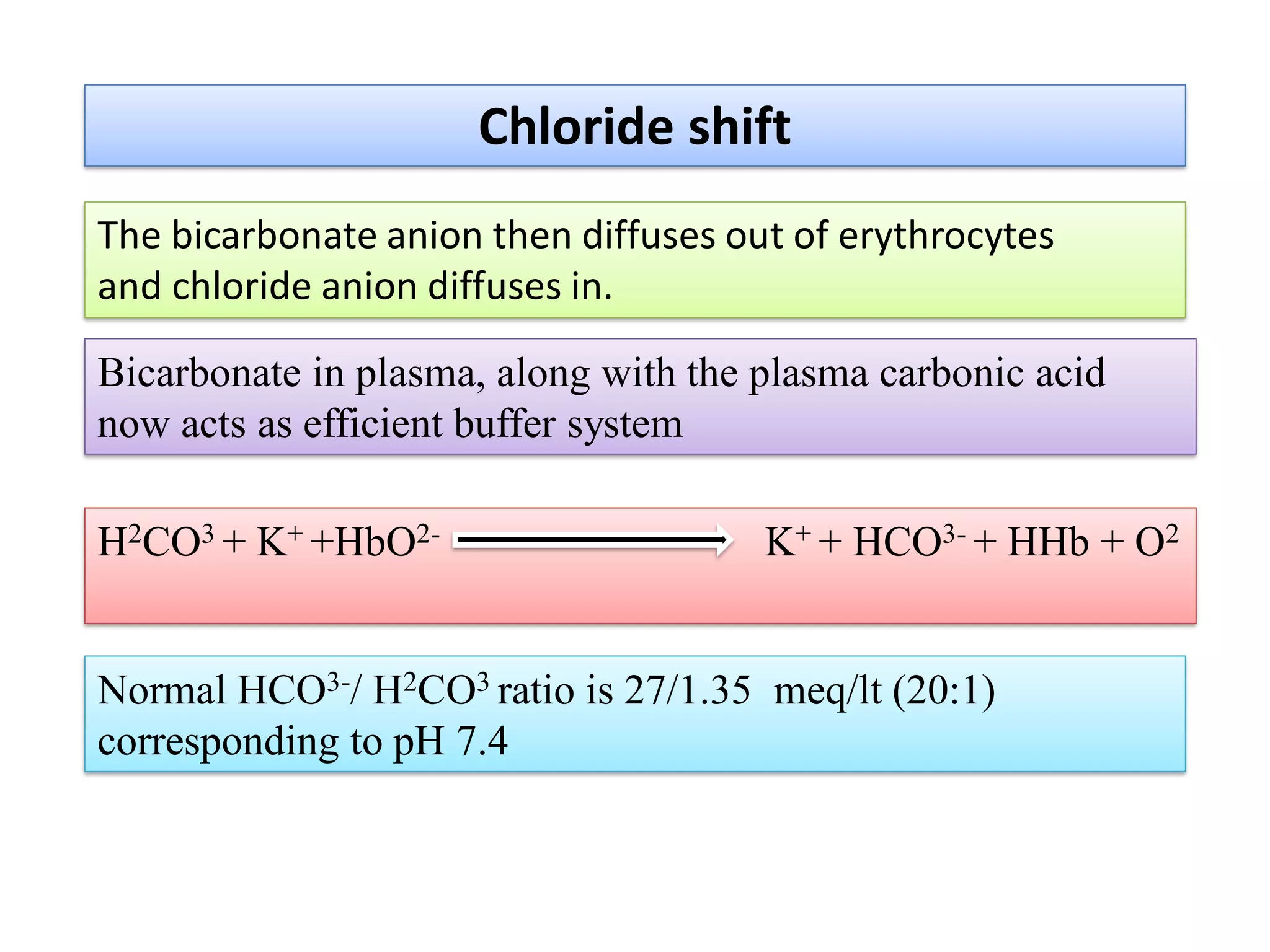 Physiological acid base balance | PDF