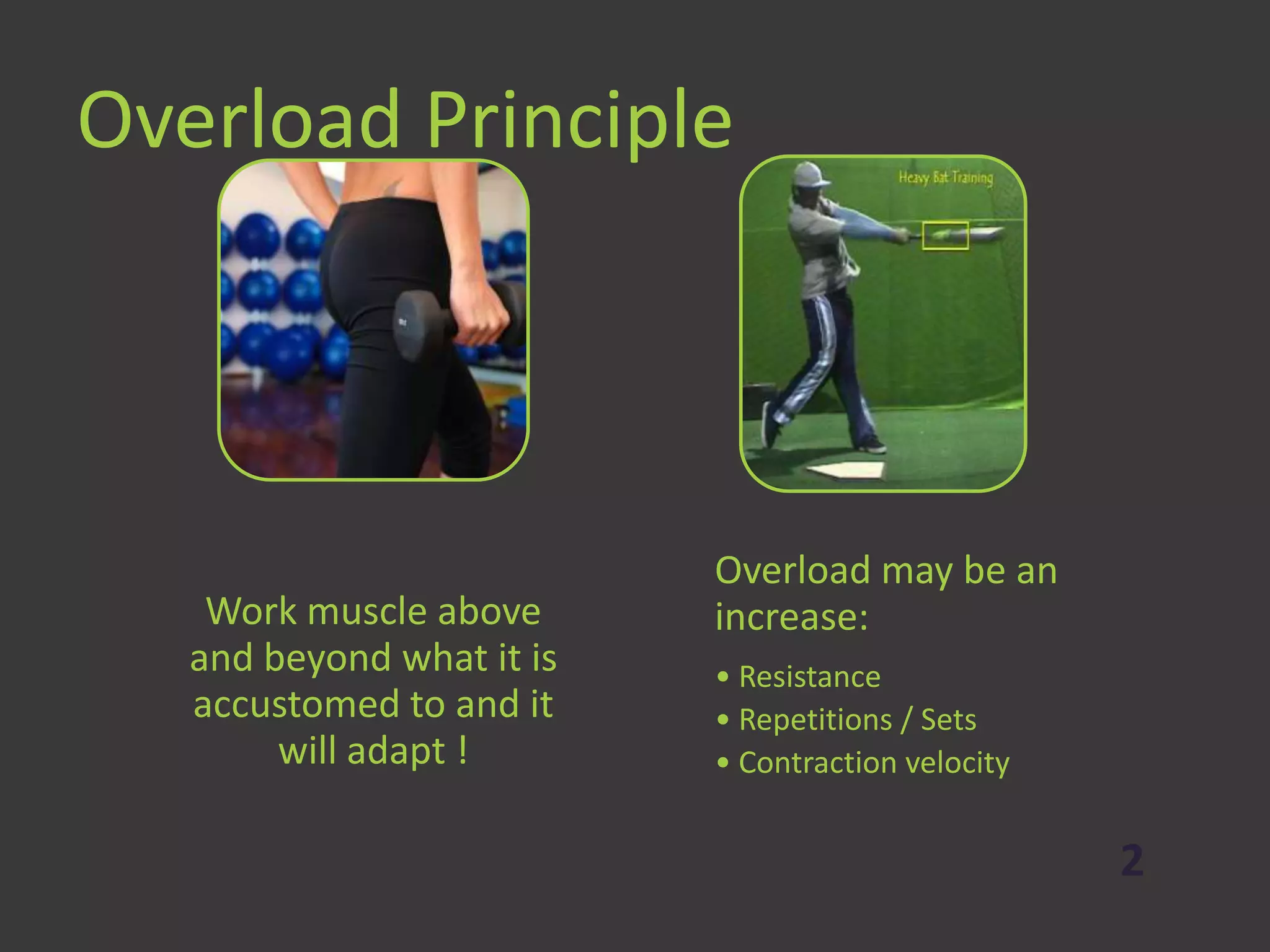 Physiological adaptations to strength training visual bee - visualbee | PPTX