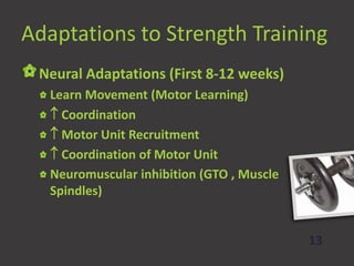 Physiological adaptations to strength training visual bee - visualbee ...