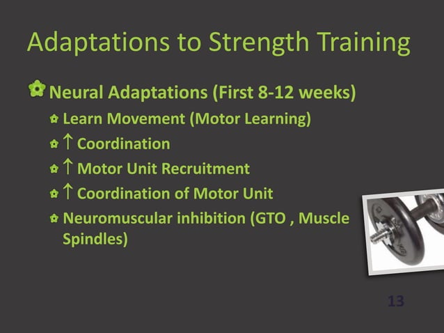 Physiological adaptations to strength training visual bee - visualbee ...