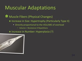 Physiological adaptations to strength training visual bee - visualbee ...