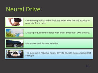 Physiological adaptations to strength training visual bee - visualbee | PPTX