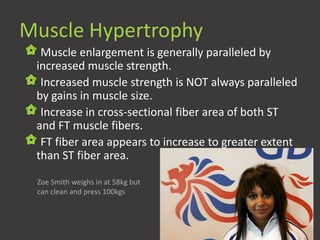 Physiological adaptations to strength training visual bee - visualbee ...