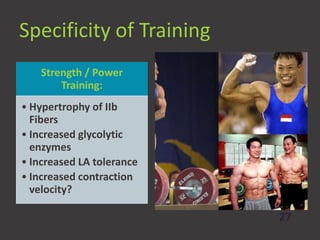 Physiological adaptations to strength training visual bee - visualbee ...