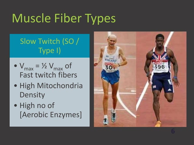 Physiological adaptations to strength training visual bee - visualbee ...