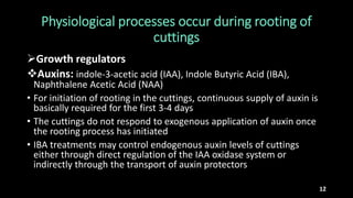 Physiological, anatomical and biochemical aspects of root | PPTX