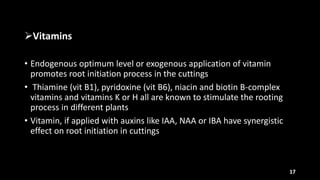 Physiological, anatomical and biochemical aspects of root | PPTX