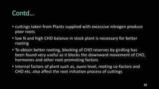 Physiological, anatomical and biochemical aspects of root | PPTX