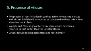 Physiological, anatomical and biochemical aspects of root | PPTX