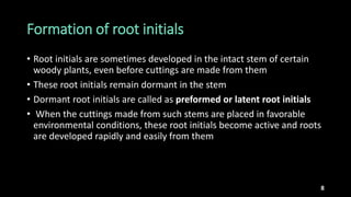 Physiological, anatomical and biochemical aspects of root | PPTX