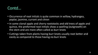 Physiological, anatomical and biochemical aspects of root | PPTX