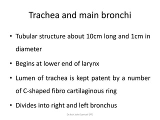 Physiological anatomy of respiratory system | PDF