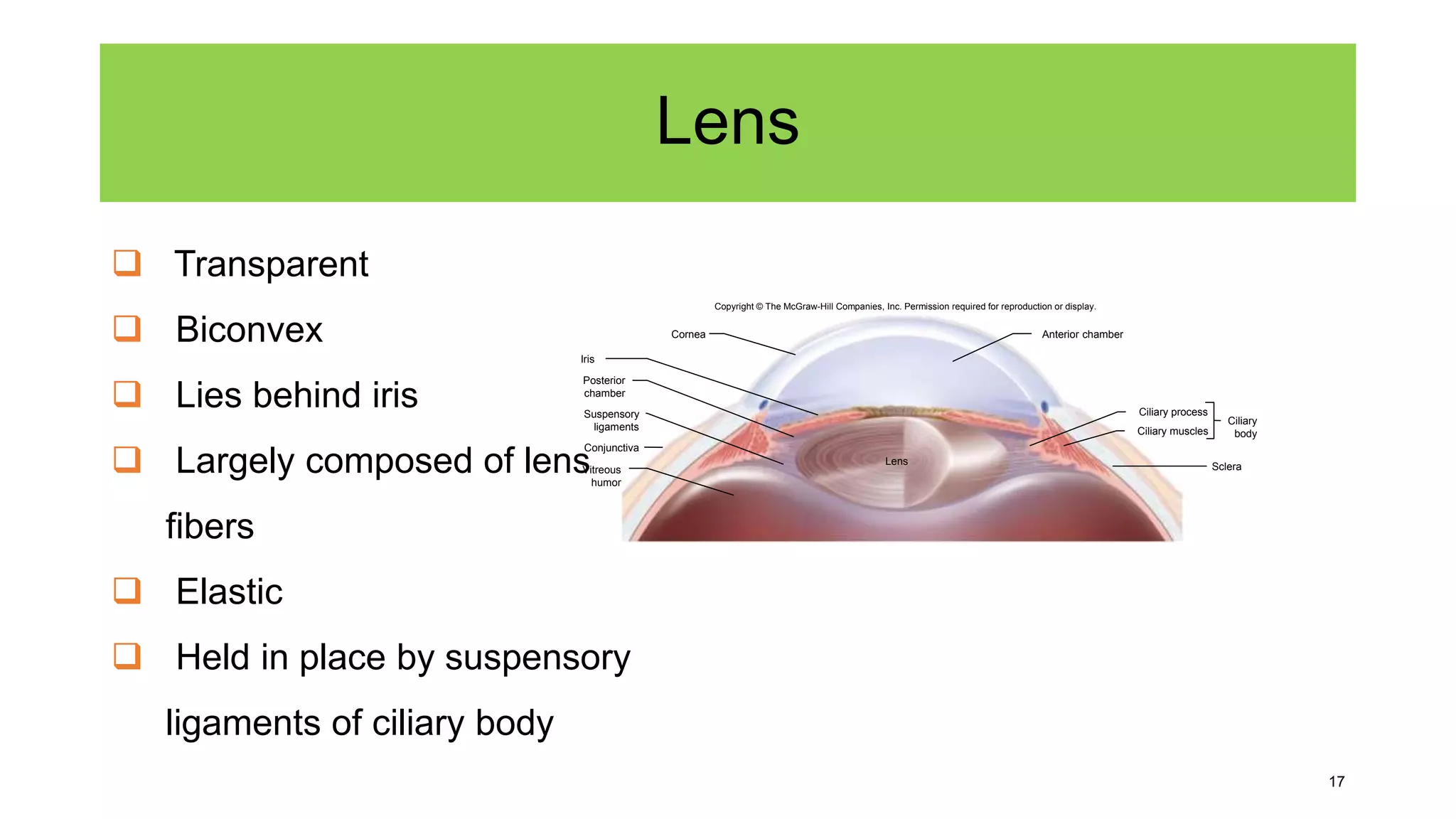 anatomy and physiology of layers of the eye | PPT
