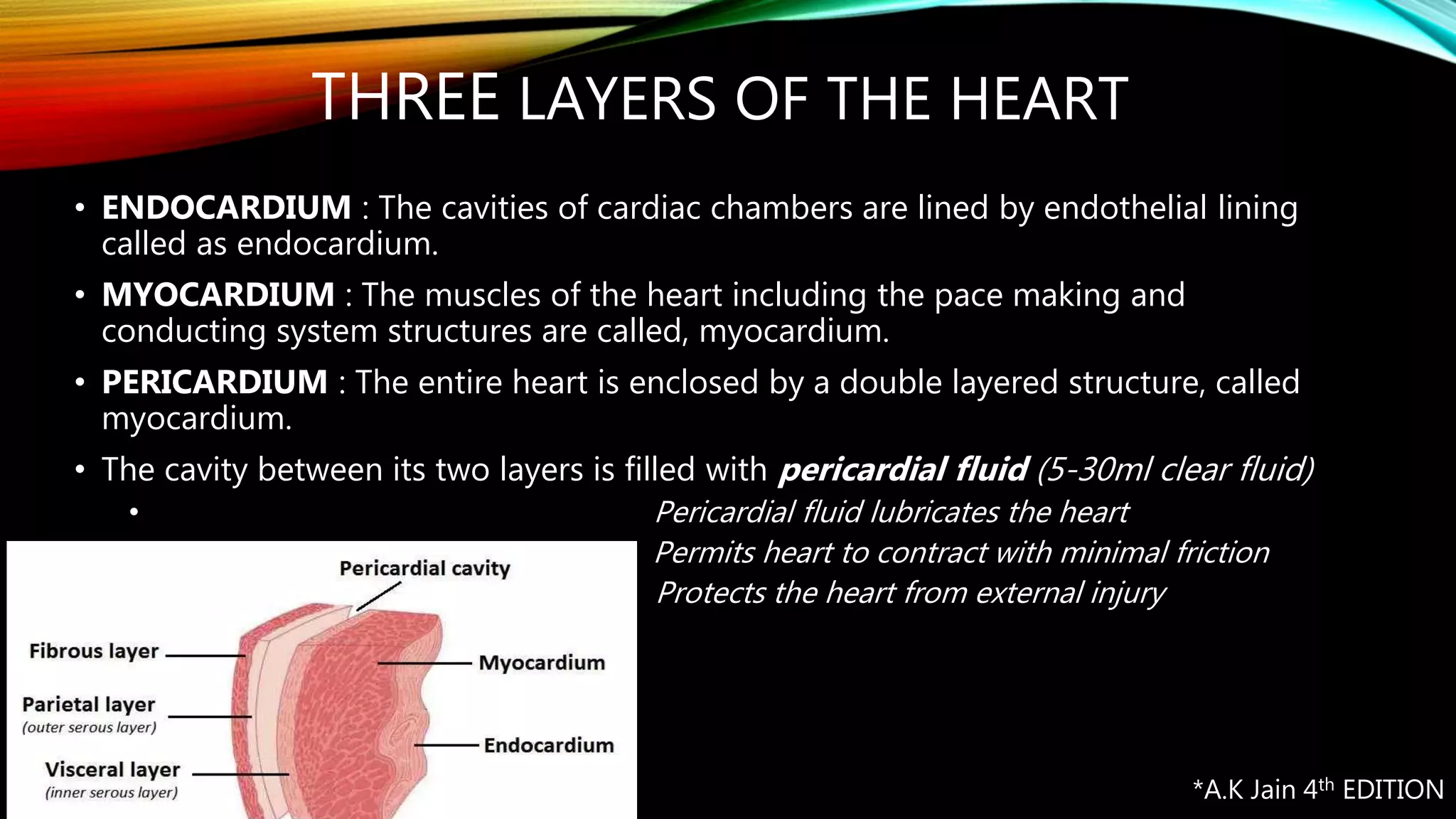 Physiological anatomy of the heart and respiratory system | PPTX