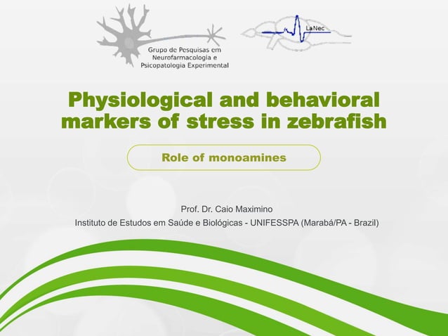 Physiological and behavioral markers of stress in zebrafish | PPT