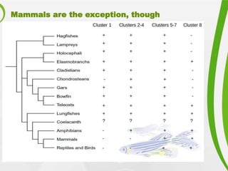 Physiological and behavioral markers of stress in zebrafish | PPT