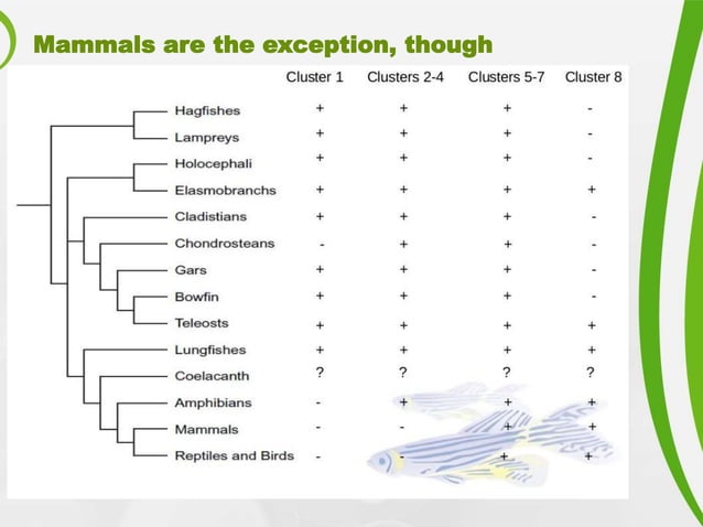 Physiological and behavioral markers of stress in zebrafish | PPT