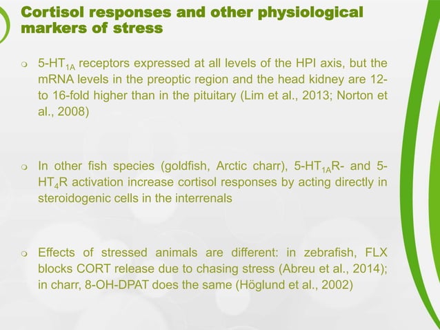 Physiological and behavioral markers of stress in zebrafish | PPT
