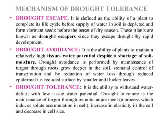 Physiological and molecular bases of drought tolerance in cucurbits (f ...