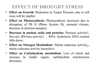 Physiological and molecular bases of drought tolerance in cucurbits (f ...