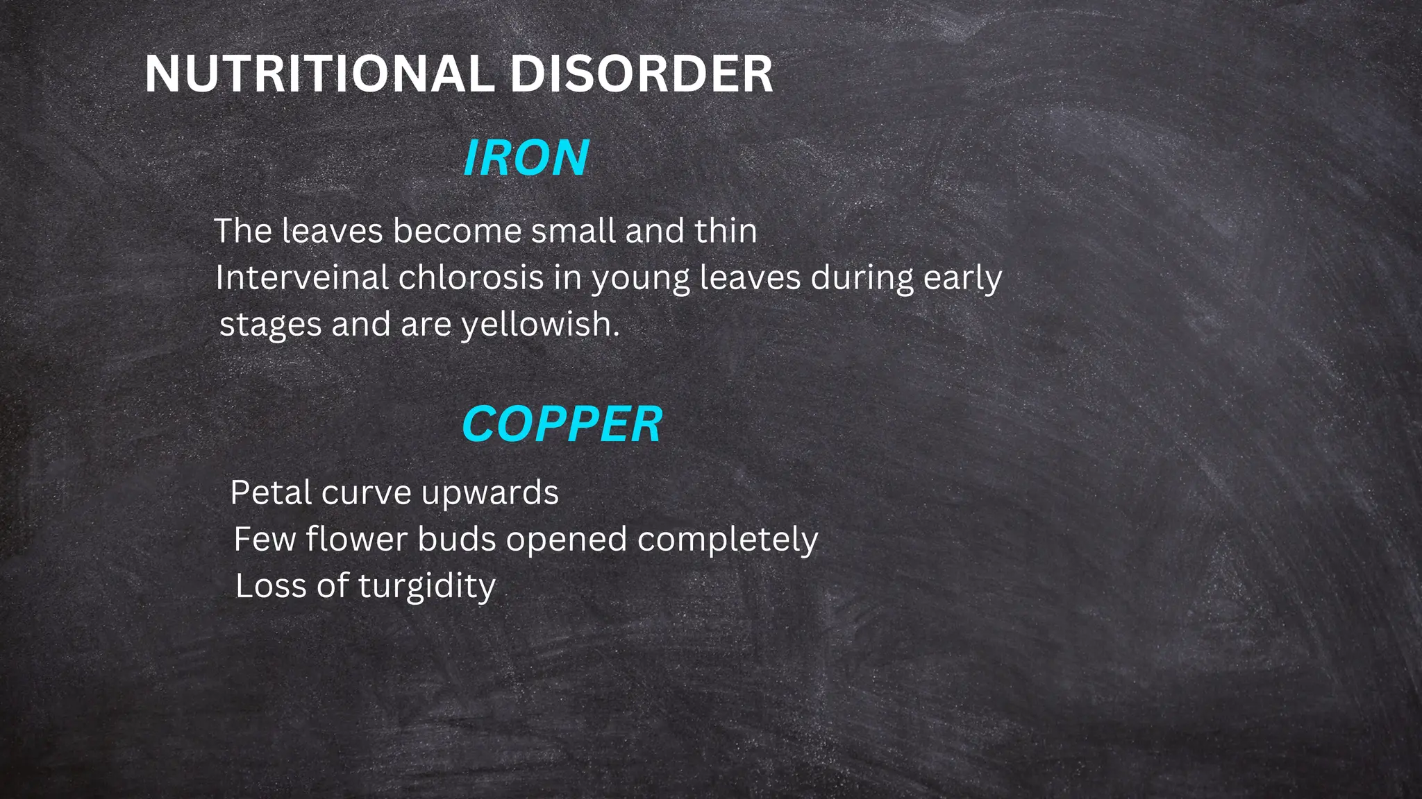 PHYSIOLOGICAL AND NUTRITIONAL DISORDERS IN FLOWER CROPS (1).pptx.pdf