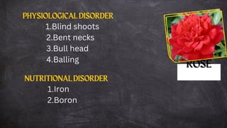 PHYSIOLOGICAL AND NUTRITIONAL DISORDERS IN FLOWER CROPS (1).pptx.pdf