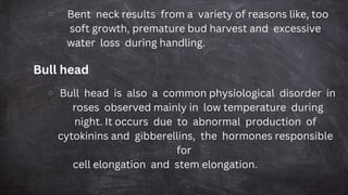 PHYSIOLOGICAL AND NUTRITIONAL DISORDERS IN FLOWER CROPS (1).pptx.pdf