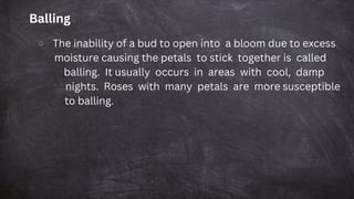 PHYSIOLOGICAL AND NUTRITIONAL DISORDERS IN FLOWER CROPS (1).pptx.pdf