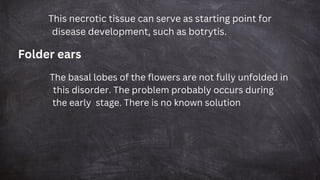 PHYSIOLOGICAL AND NUTRITIONAL DISORDERS IN FLOWER CROPS (1).pptx.pdf