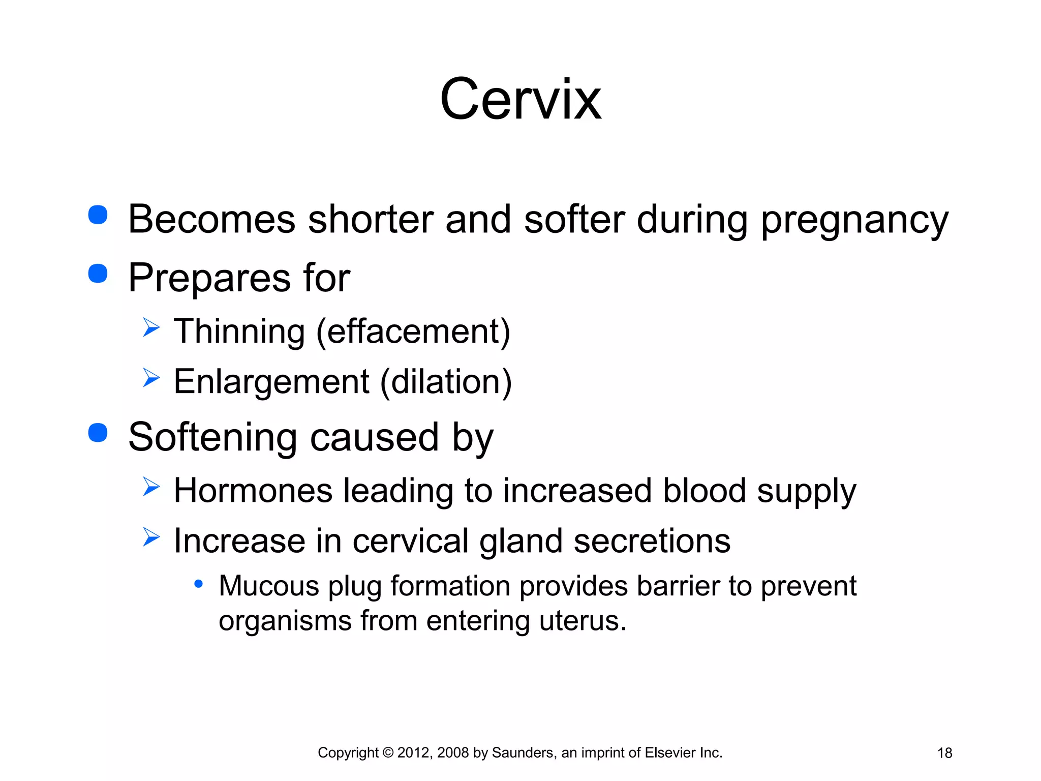 Physiological and psychological changes during pregnancy | PPT