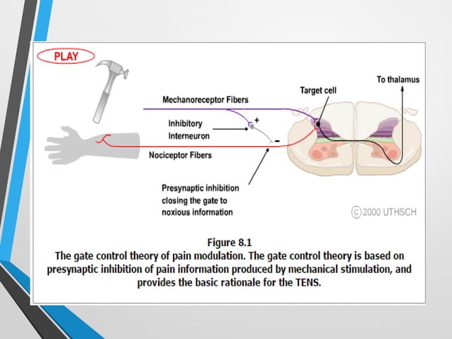 PHYSIOLOGICAL AND THERAPEUTIC EFFECTS OF TENS.pptx | First Aid | Injuries