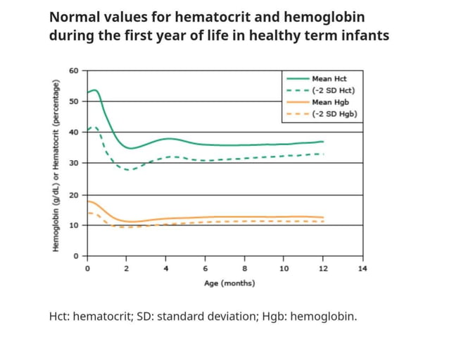 PHYSIOLOGICAL ANEMIA OF INFANCY | PPTX | Blood Disorders | Diseases and ...