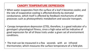 PHYSIOLOGICAL APPROACHES FOR IDEOTYPE BREEDING IN RICE.pptx