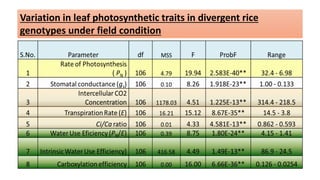 PHYSIOLOGICAL APPROACHES FOR IDEOTYPE BREEDING IN RICE.pptx